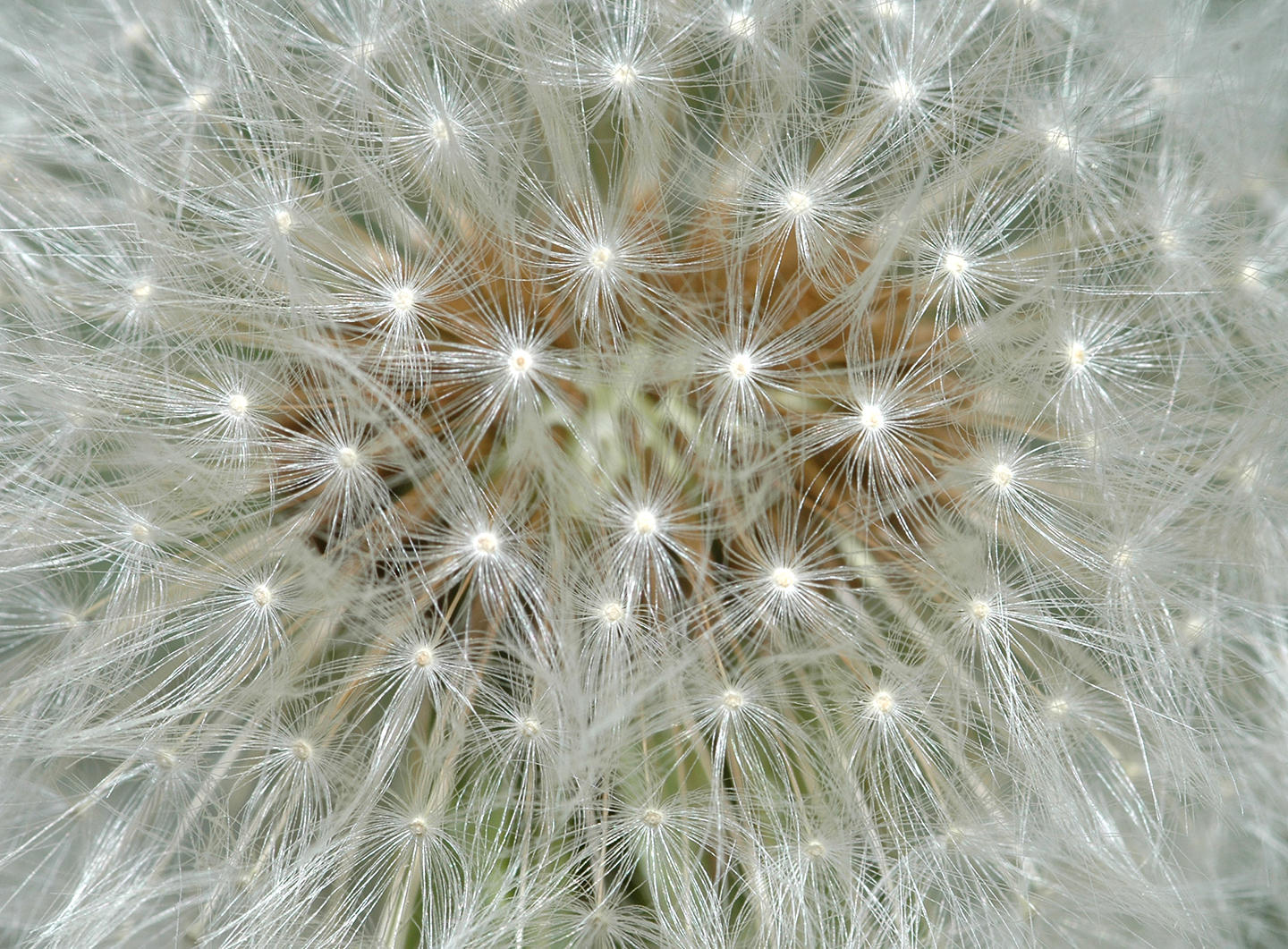 Foam control - Tissue, Applications - BIM Kemi AB